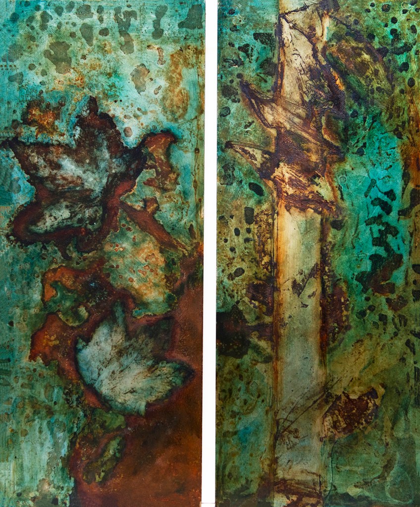 Fragile Earth – Judith Burrows